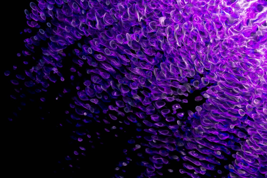 Upload Files To Github With Python In Less Than 2 Lines Of Code By Cyril Frebel Jul 2023