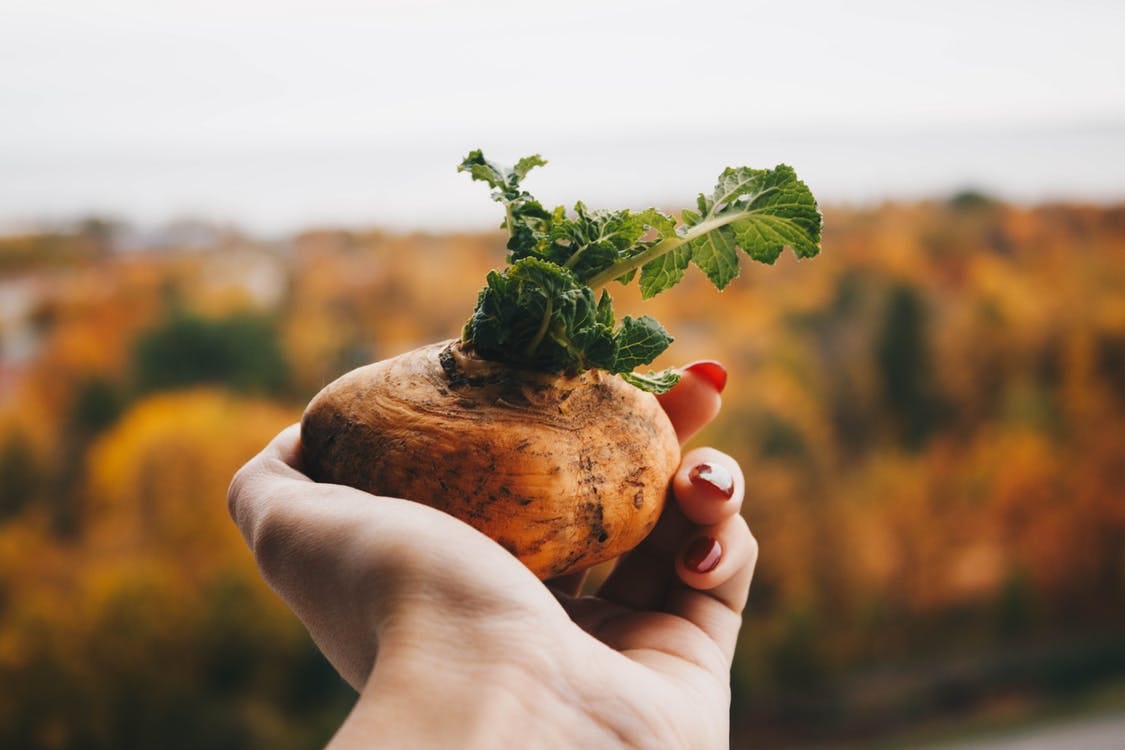 Why you should eat the weird vegetables. | by Dr. Brooke Scheller | Medium