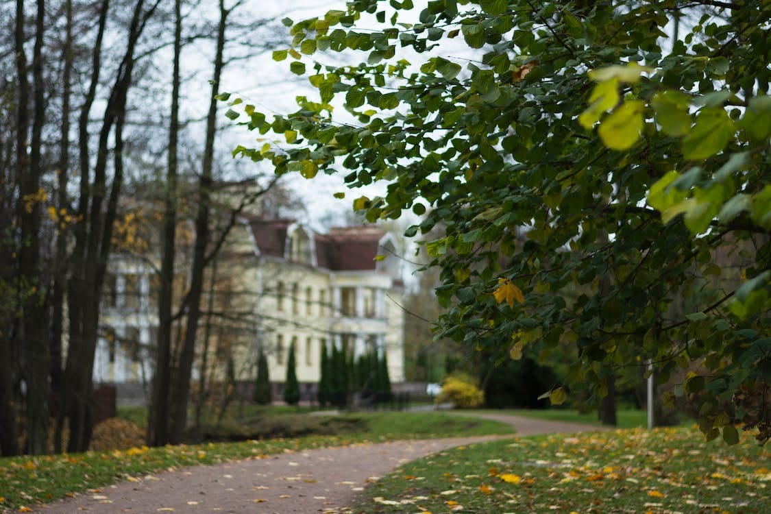 The Hidden Beast. This is a fictional account of a real… | by Harry ...