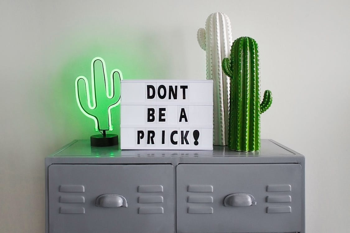I May Have to Desert You. A cactus poem | by Karen Schwartz | The Brain ...