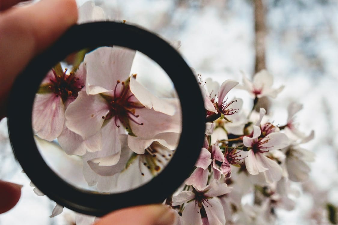 Custom Object Detectionusing React With Tensorflowjs By Manfye Goh Towards Data Science