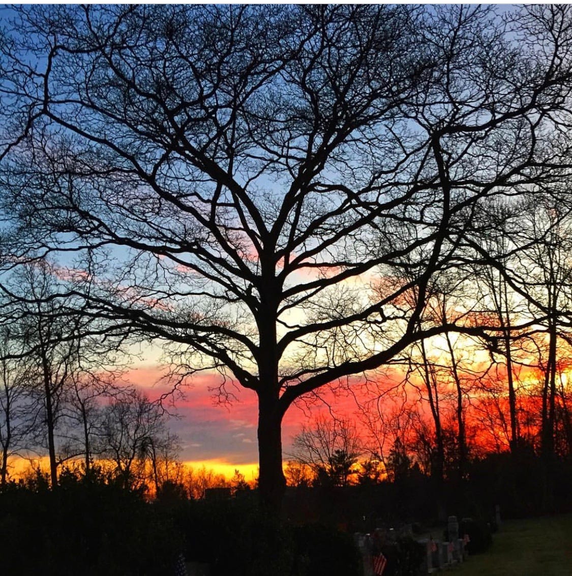 Frolicking with Solsticio. Winter solstice — Creativity all… | by ...