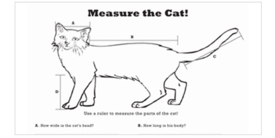 What is the wheelbase of a cat? | by Gérard Mclean | GerardMcLean | Medium