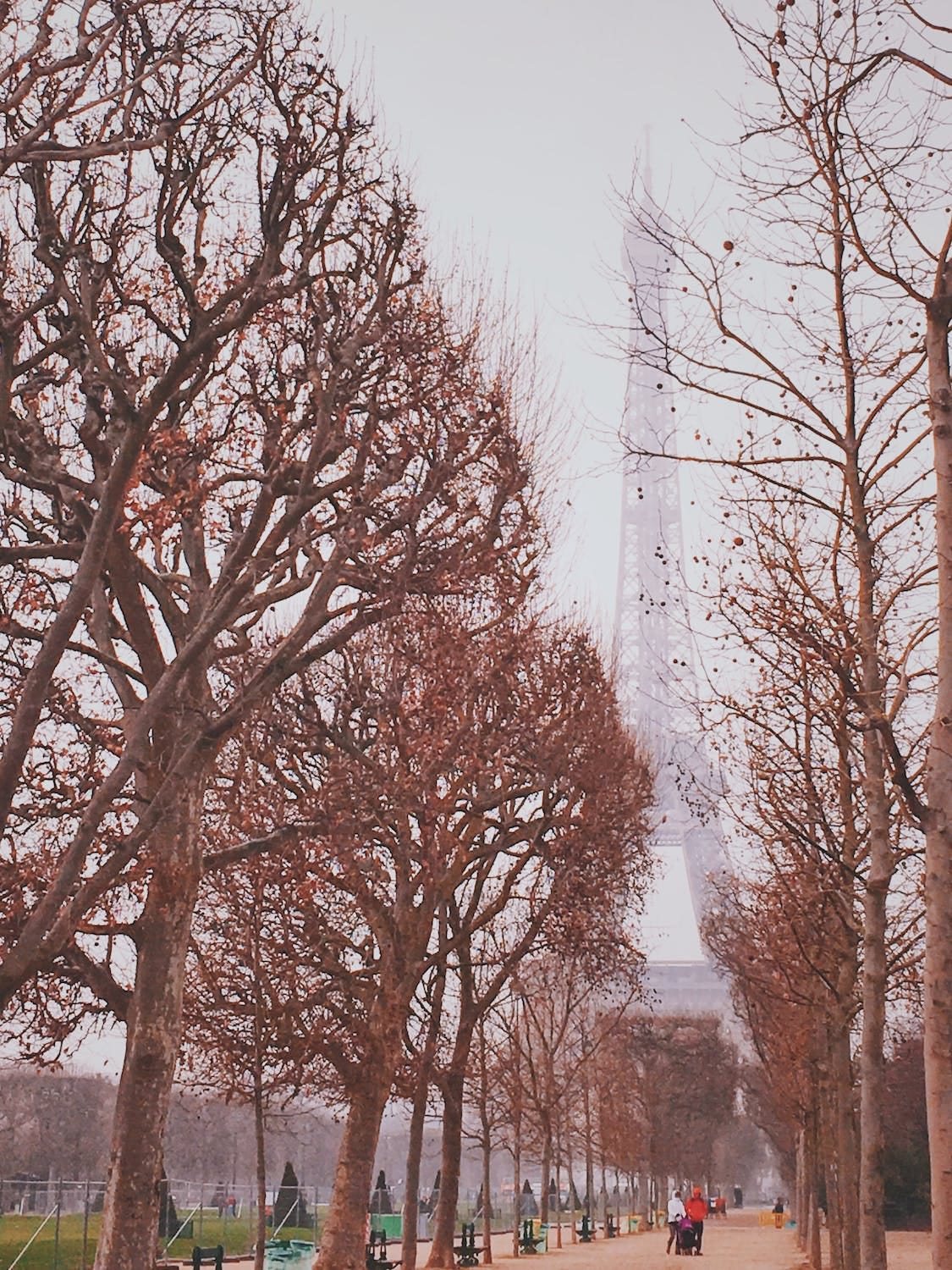 Easily Handle February's Paris Weather: The Function of Paris Transfer ...