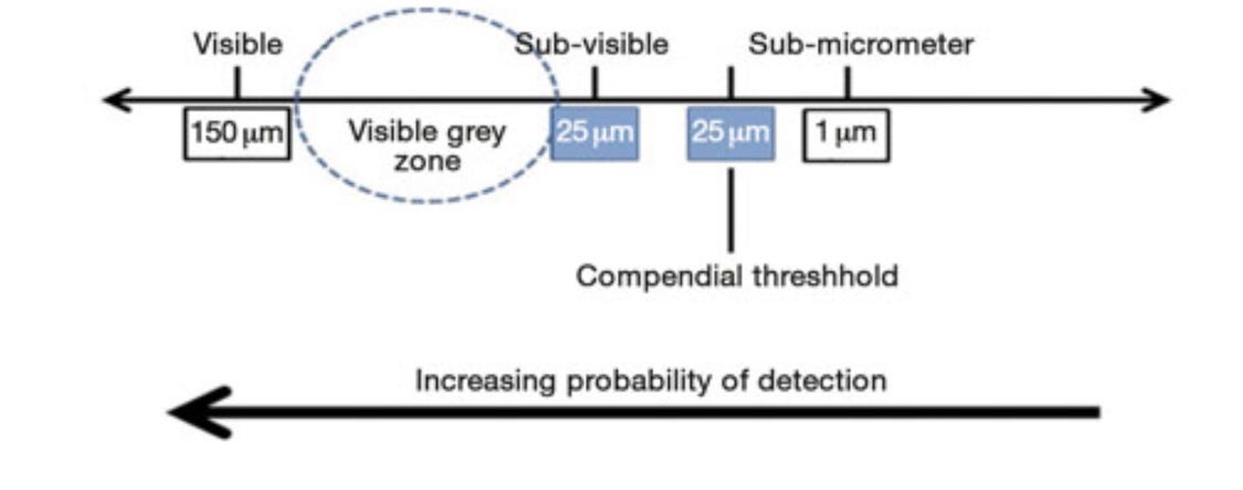 Let’s start with the “smallest” issue. What’s the smallest size human ...
