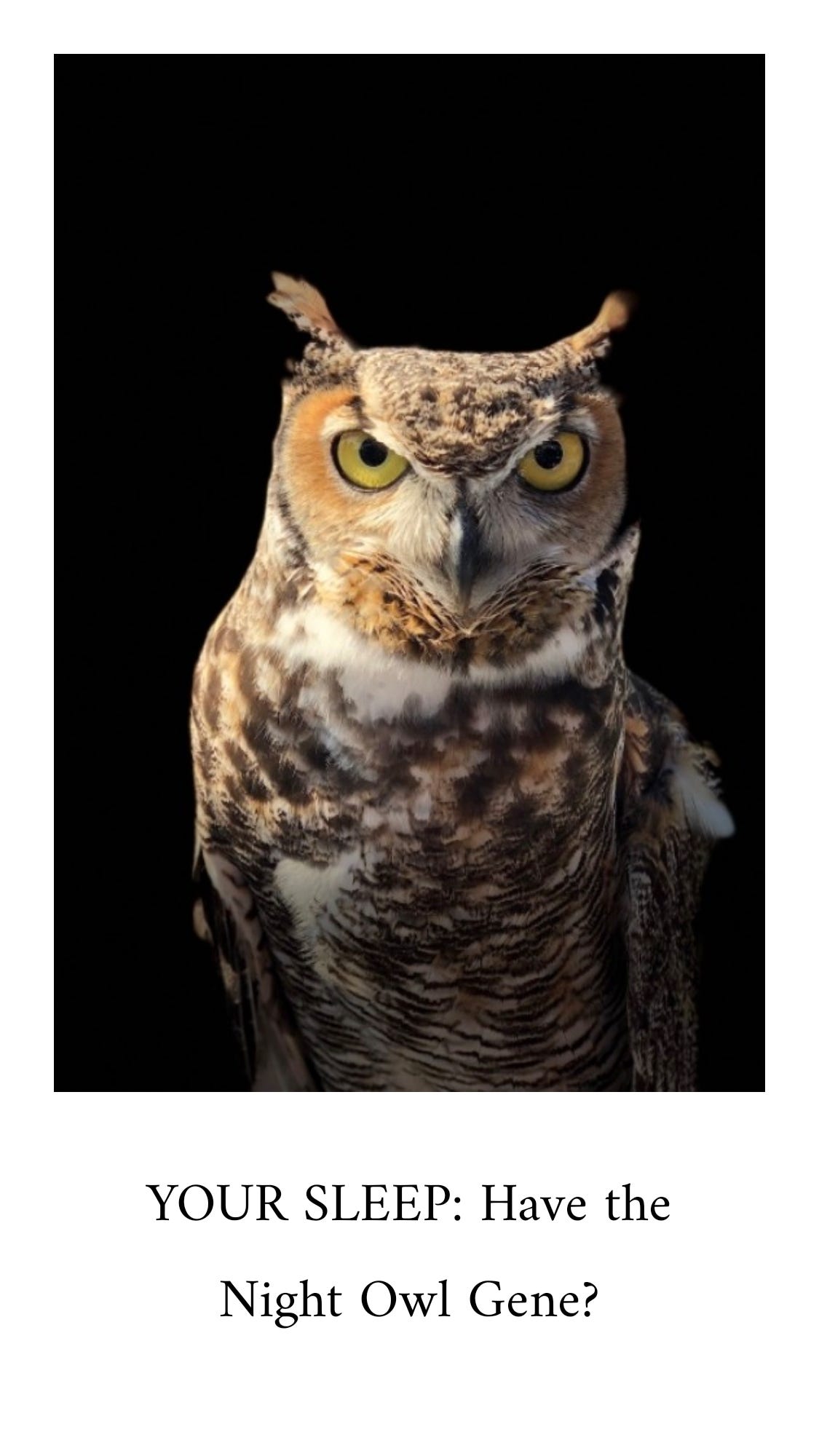 YOUR SLEEP: Have the Night Owl Gene? | by Meditate Awake | Medium