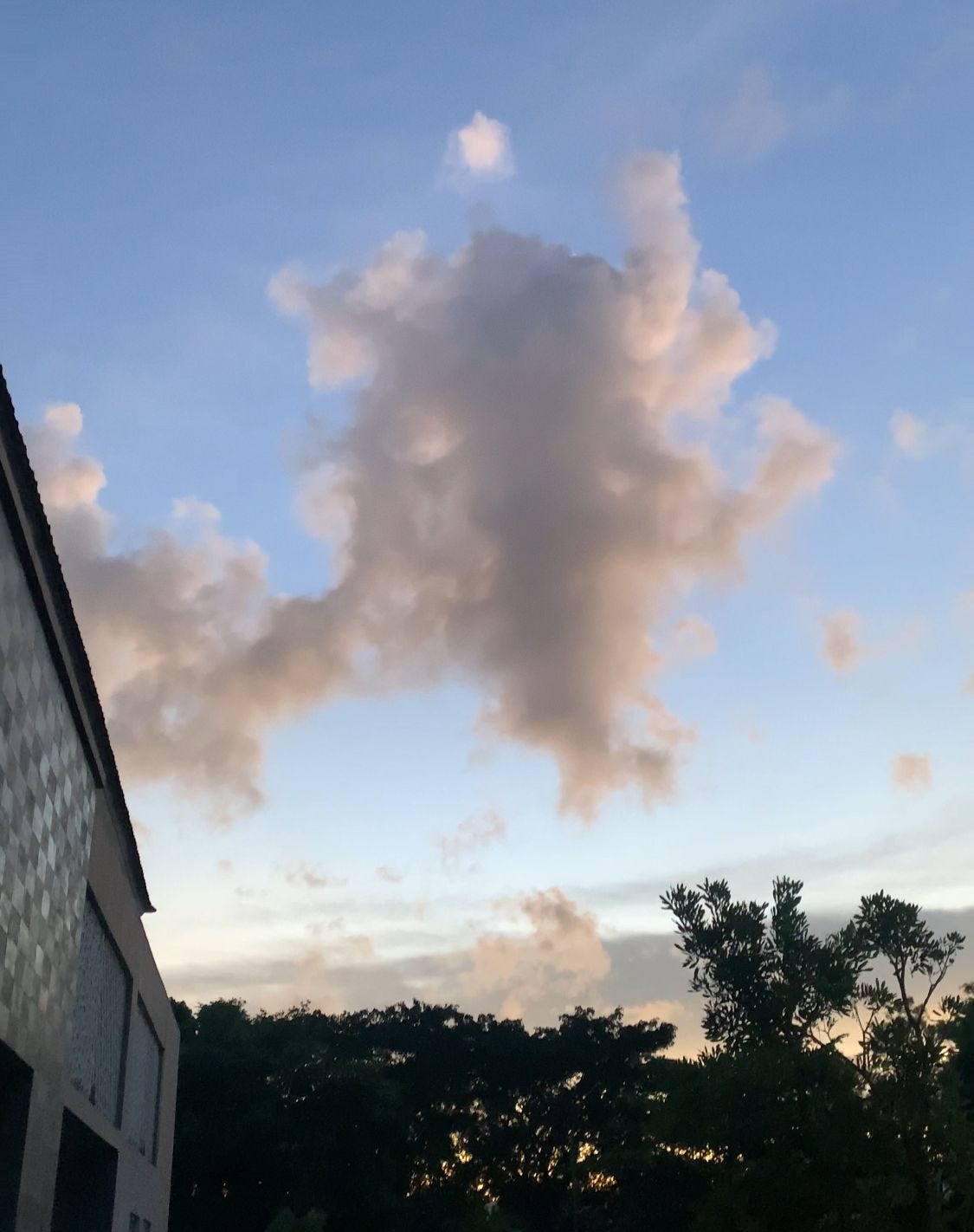 Janji di Bawah Langit Kulon Progo | by Selvi | Jun, 2025 | Medium