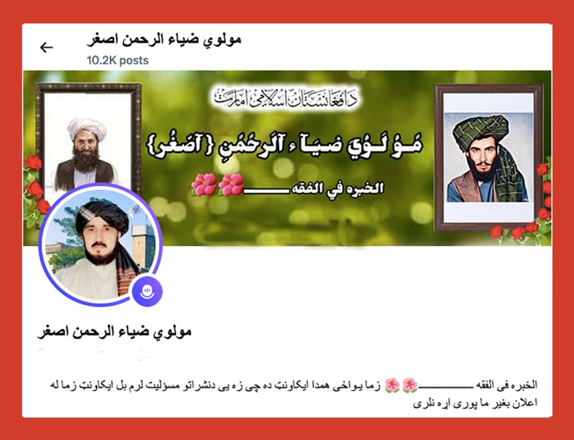 Taliban Takes Heart in U.S. Control of Women | by Patsy Fergusson ...