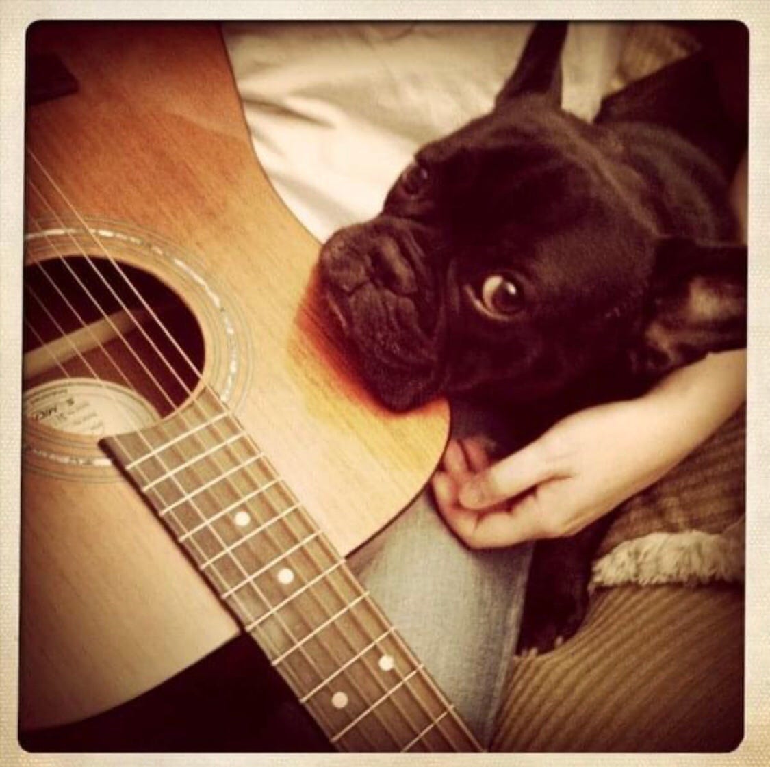 What Are Things Worth Pursuing In Life? | by Chris Freyler | Know ...