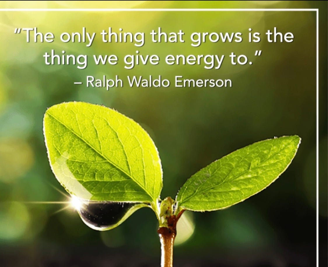 The Balance of Being vs. Doing. In today’s fast-paced world, we often ...