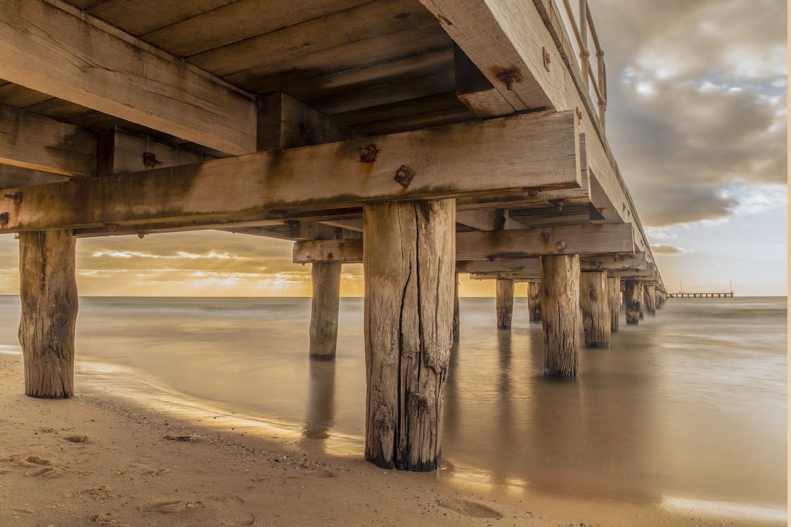 Larch Trees & Timber | Species | English Woodlands Timber - English ...