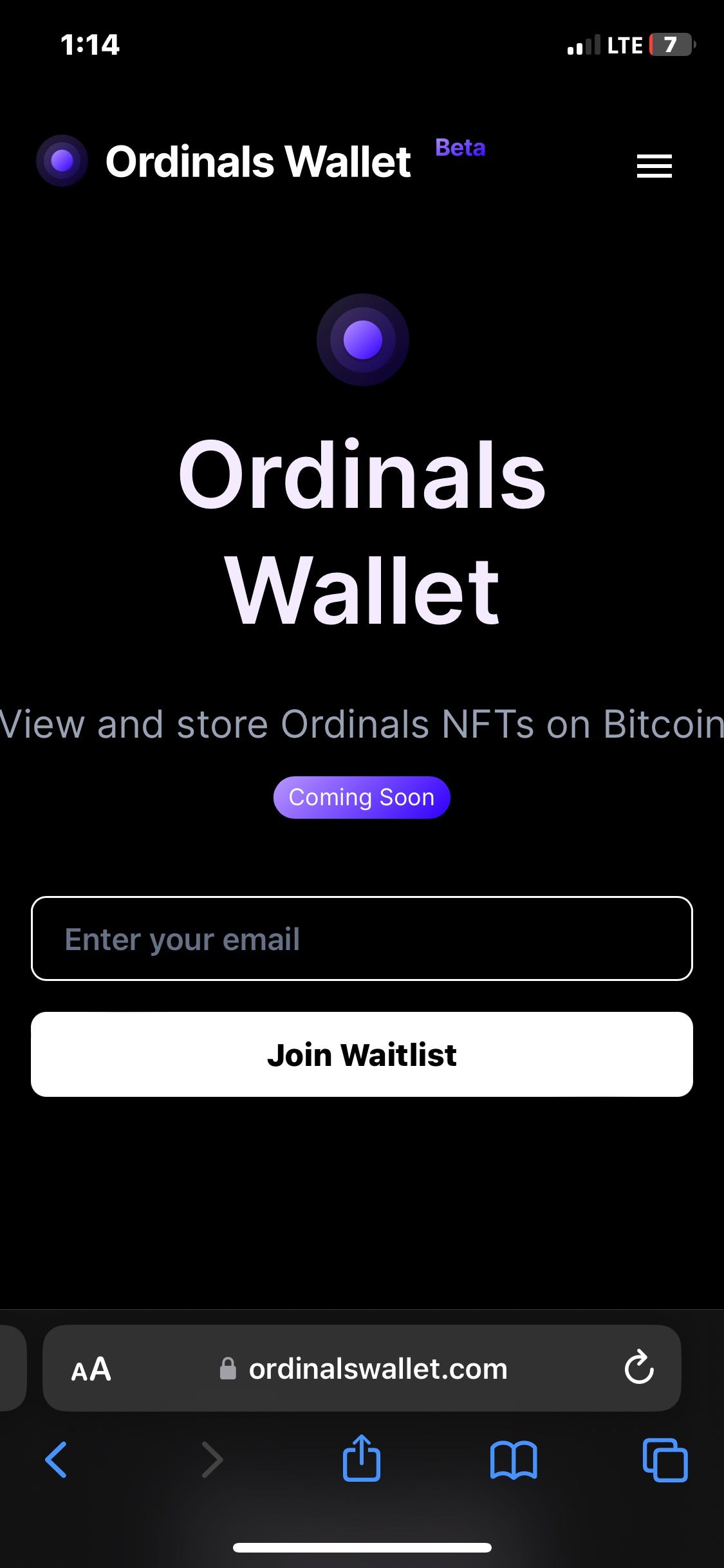 Exploring the World of Bitcoin NFTs (Ordinals): Understanding the ...