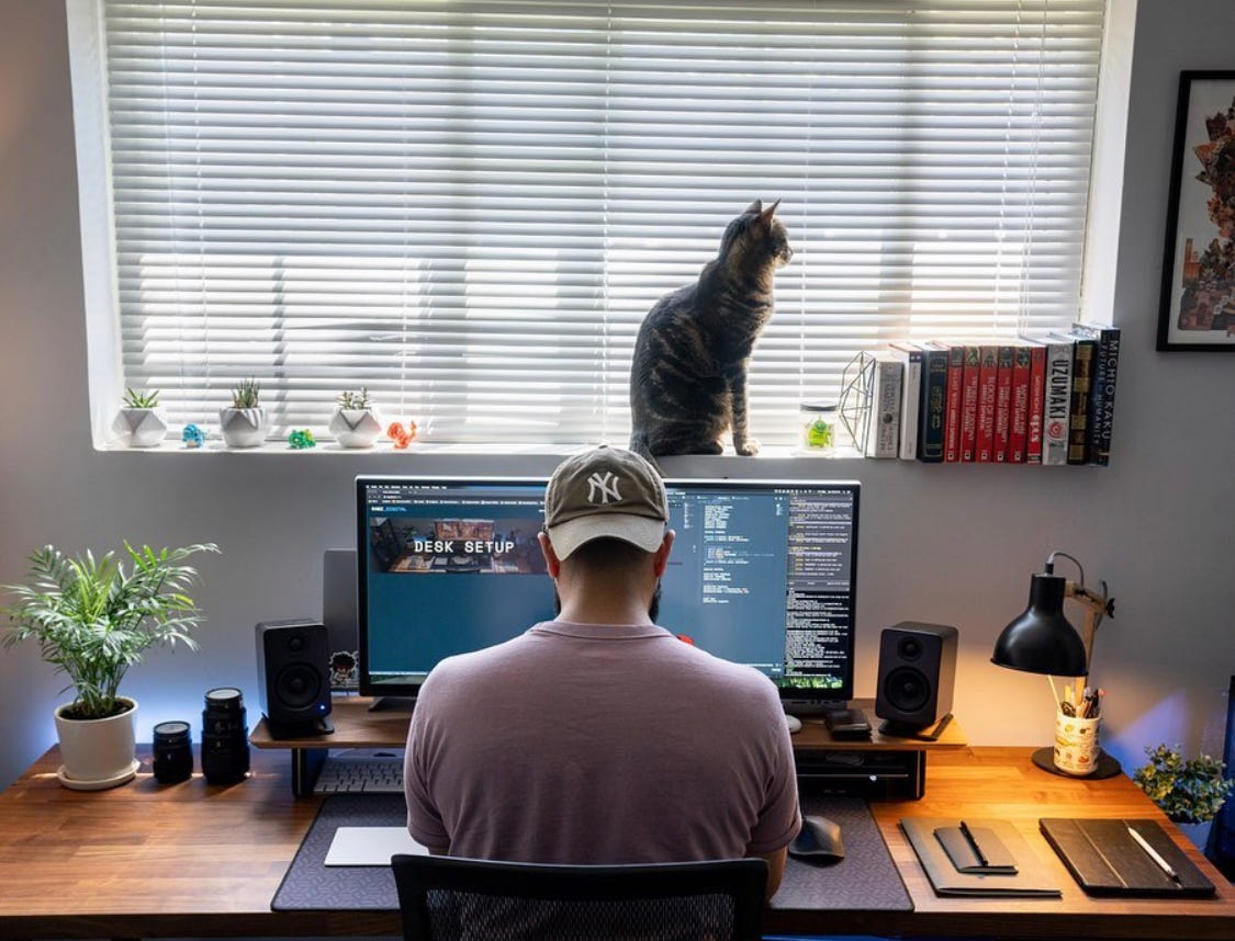 Switch case do JavaScript. Nesse tutorial você vai aprender como… | by ...