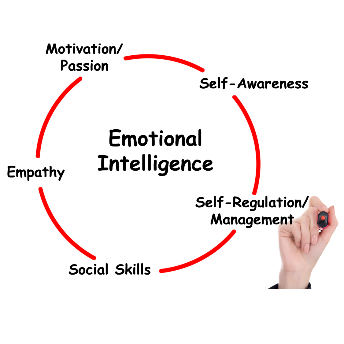 Navigating Life with Emotional Intelligence: My Personal Journey | by ...
