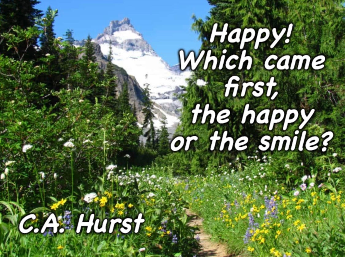 Happy! - C. A. Hurst - Medium