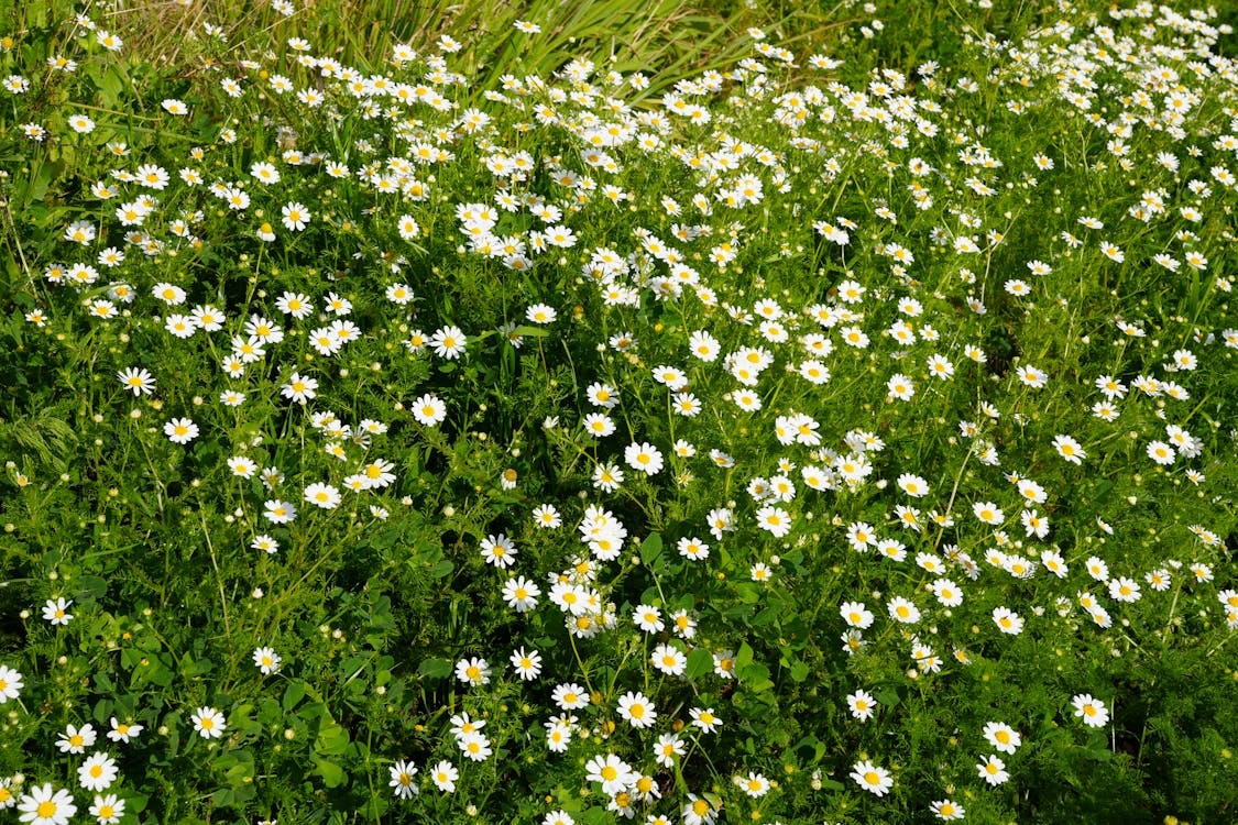 How To Check Fragmentation In An Oracle Database By Dmitry Romanoff