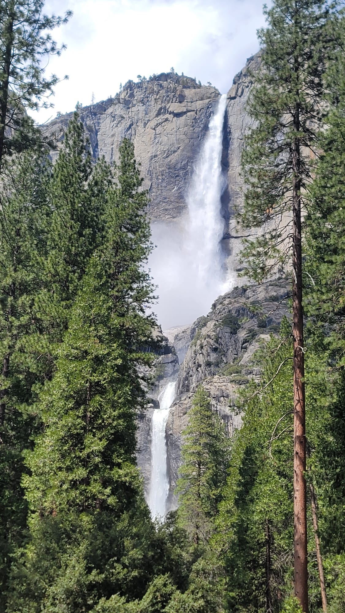Unique Day In The World at Yosemite National Park! | by Andres Bellot | Medium
