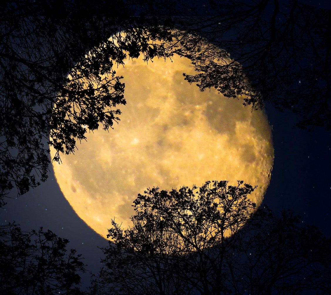 Suspended — A Poem. Sometimes I cannot locate myself in… | by Julie ...