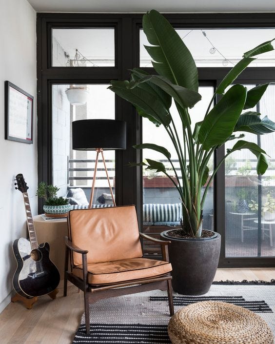 Interior Design For Men