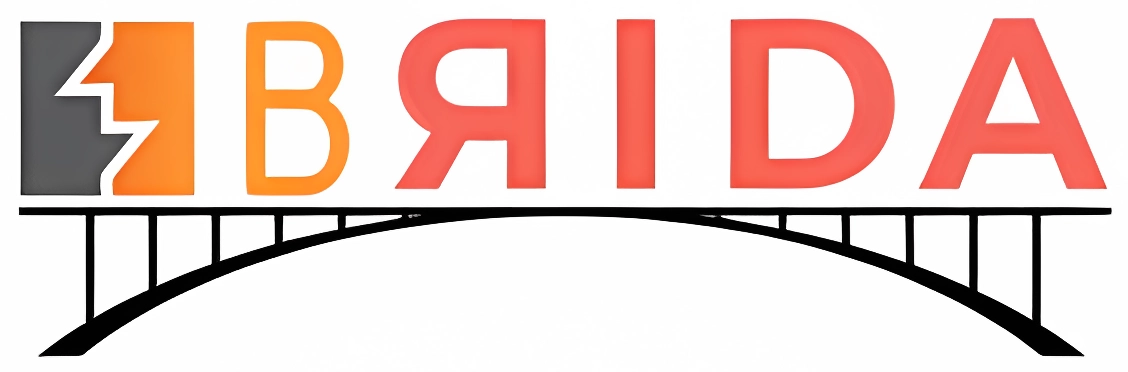 Brida: Your Secret Weapon for Mobile App Security Success | by J-yphen ...