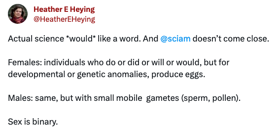 Gamete Definition