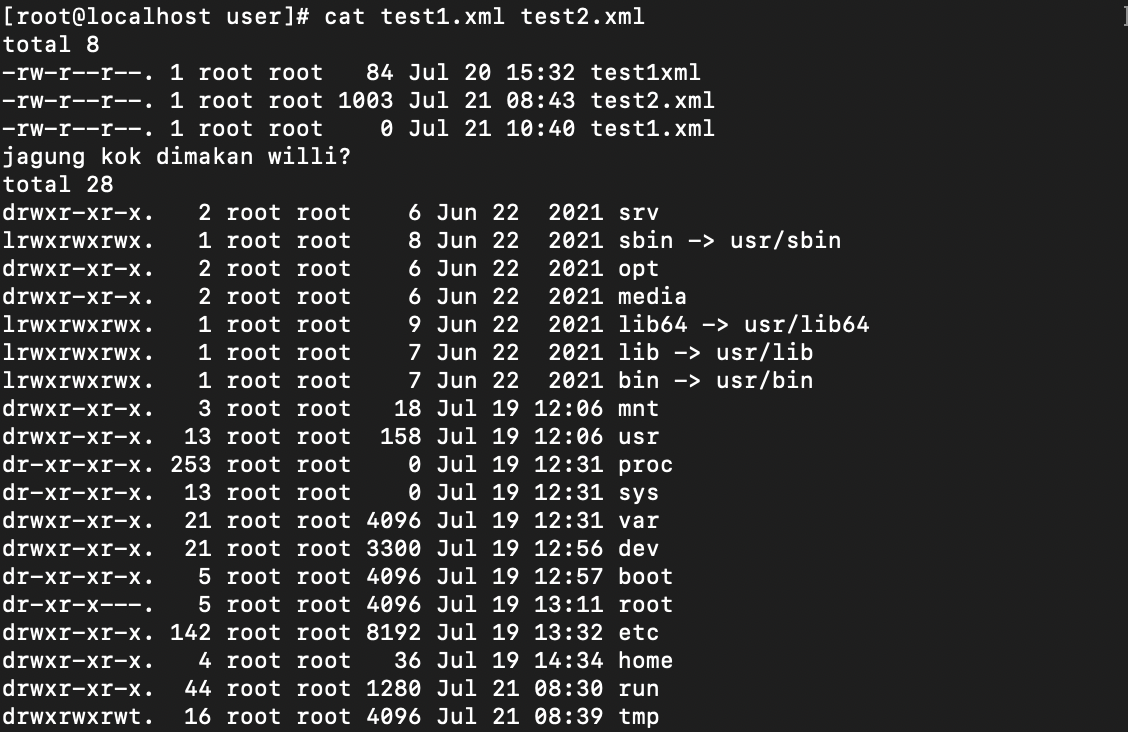 Cloud Engineer Eps. 6: Linux — Learn the Basics | by Sayful Adrian | Medium