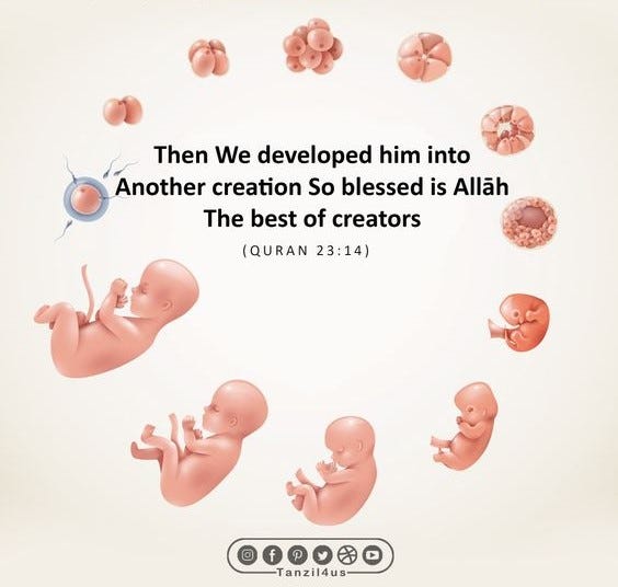 Picture Of Allah Human Form