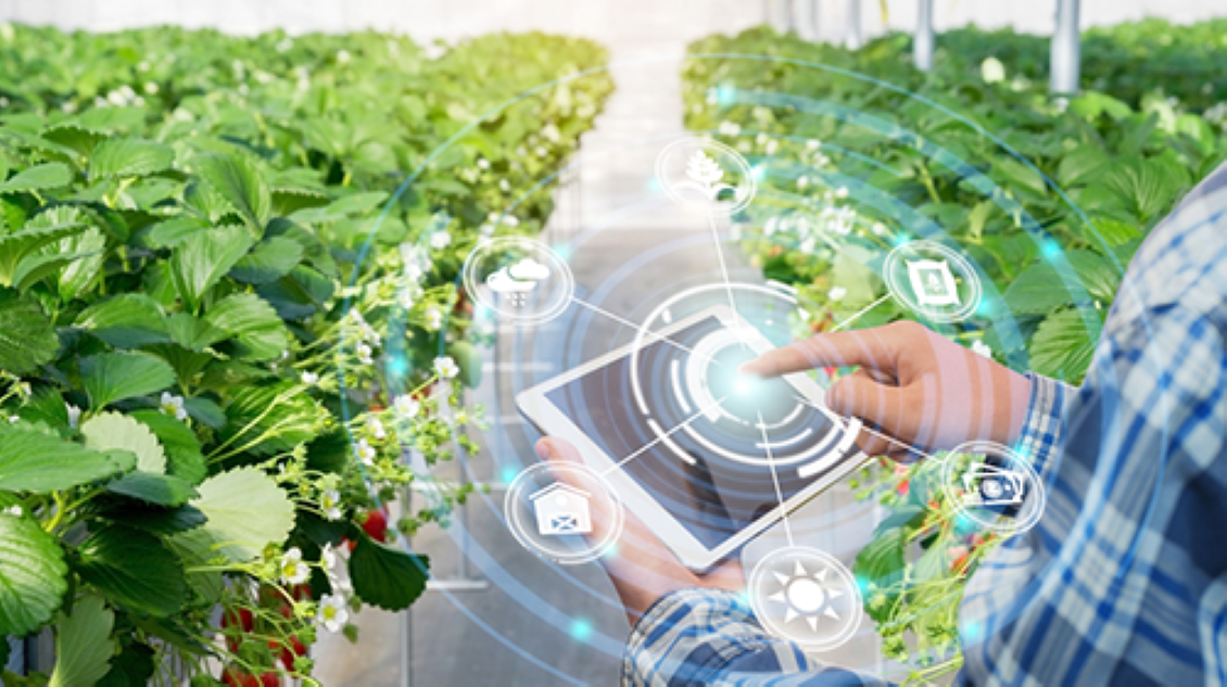 Microsoft Dynamics 365 for Agriculture Industry | Microsoft Partner ...