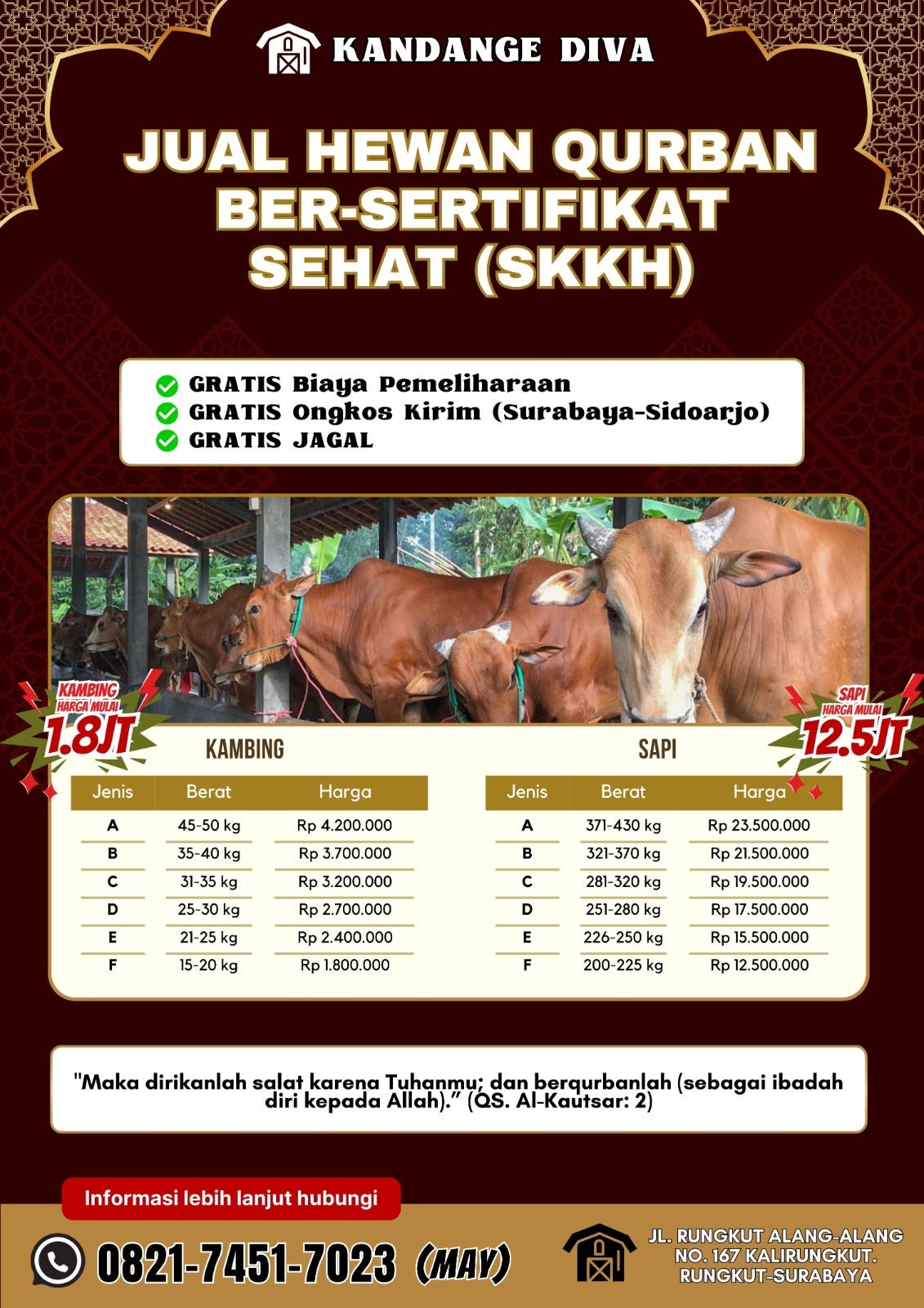 Terbaik!! WA 0821-7451-7023, jual kambing dan sapi qurban di surabaya | by Grup Reseller | Apr ...