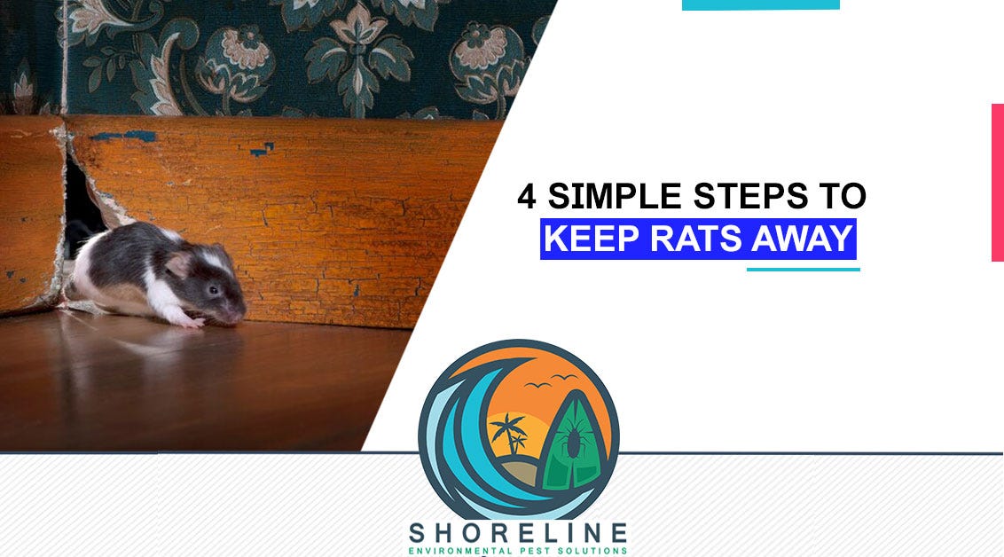 How to Proof Your Home against Rats: 4 Simple Steps | by Shoreline ...
