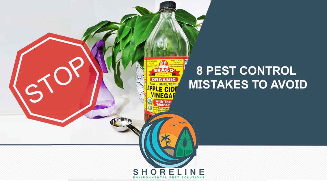 8 Pest Control Mistakes to Avoid. Be it ants or rodents, pests are ...