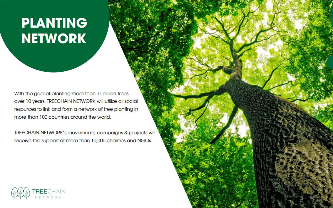 PLANTING NETWORK. With the goal of planting more than 11… | by ...