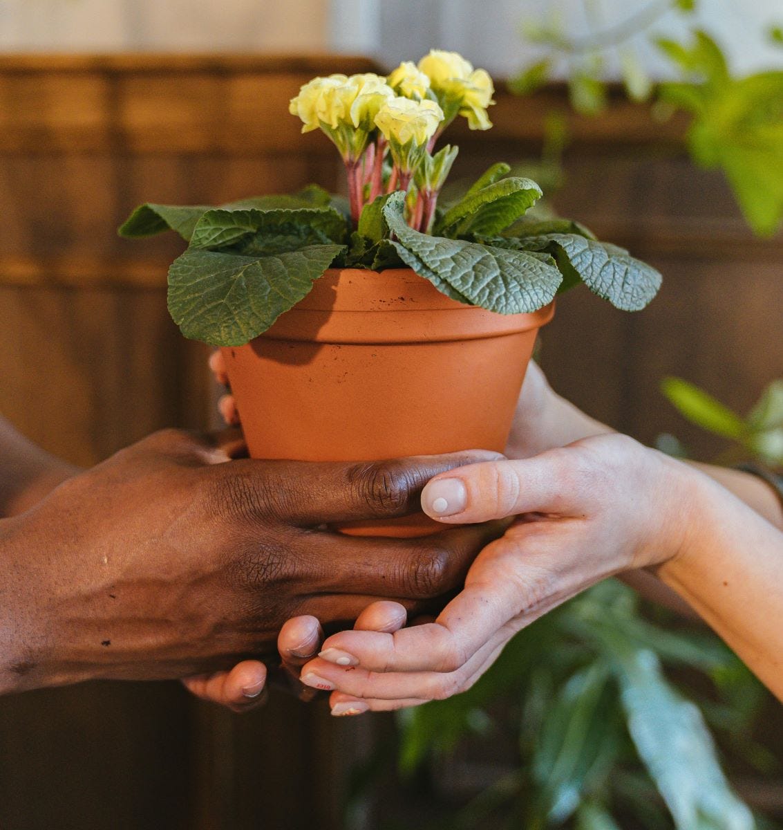 Big, Strong Hands. “They look like good, strong hands… | by Paul ...