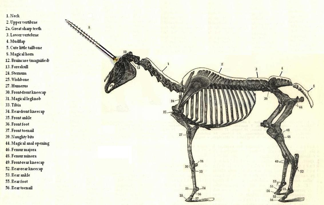 How to Reverse-Engineer a Unicorn | by Sarah Hodges | Pillar VC | Medium
