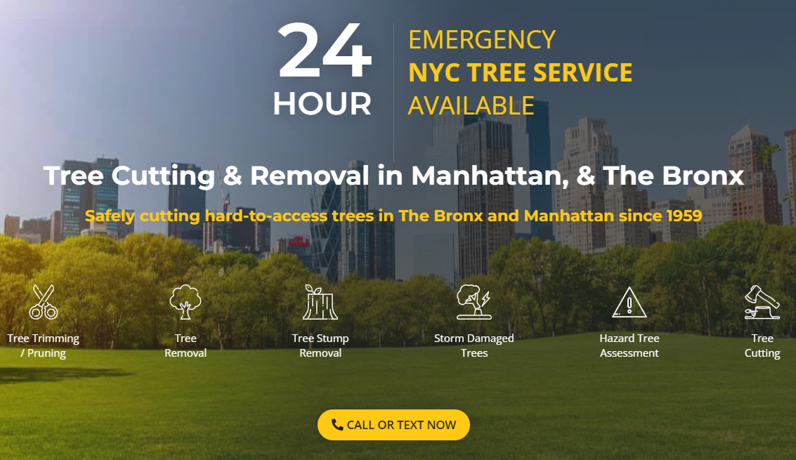 Emergency Tree Removal: Ensuring Safety and Efficiency | by Owenstrees ...