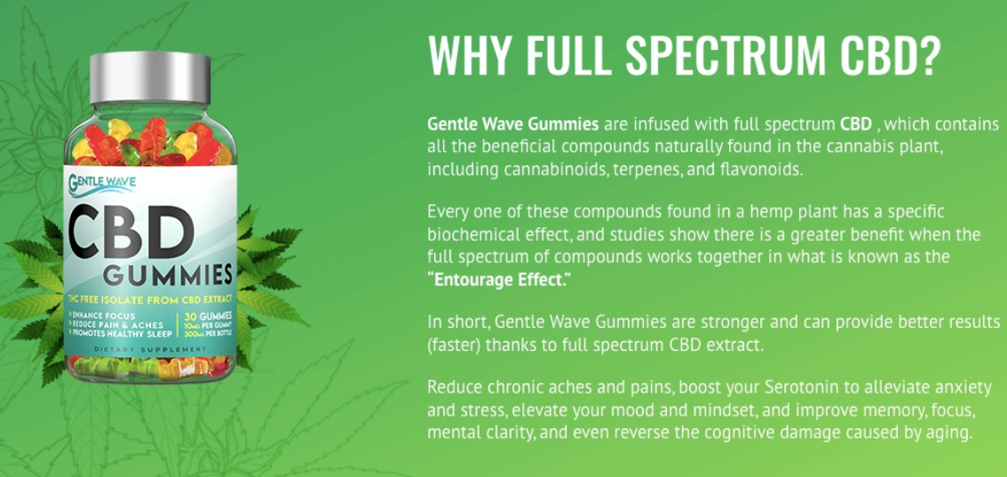 Bioheal CBD Gummies Reviews Read Before Buying Supplements & How it ...