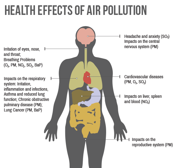 Air Pollution Effects On Humans
