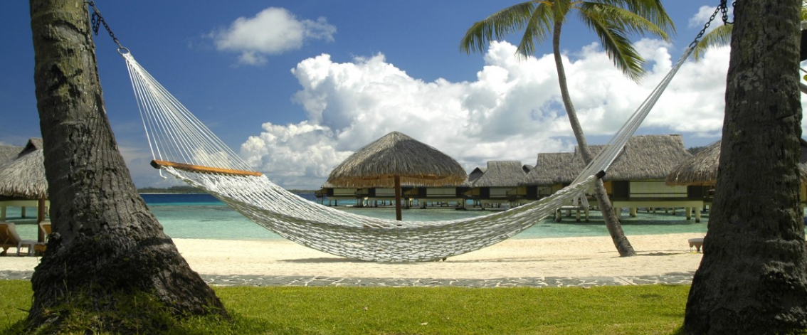 Freelance Or Remote Work? What’s The Better Deal For Digital Nomads ...