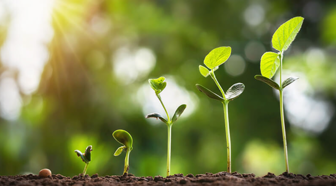 I’m Not Breaking Into Tech, I’m Building My Place In It | by Syscily Brown | Oct, 2024 | Medium