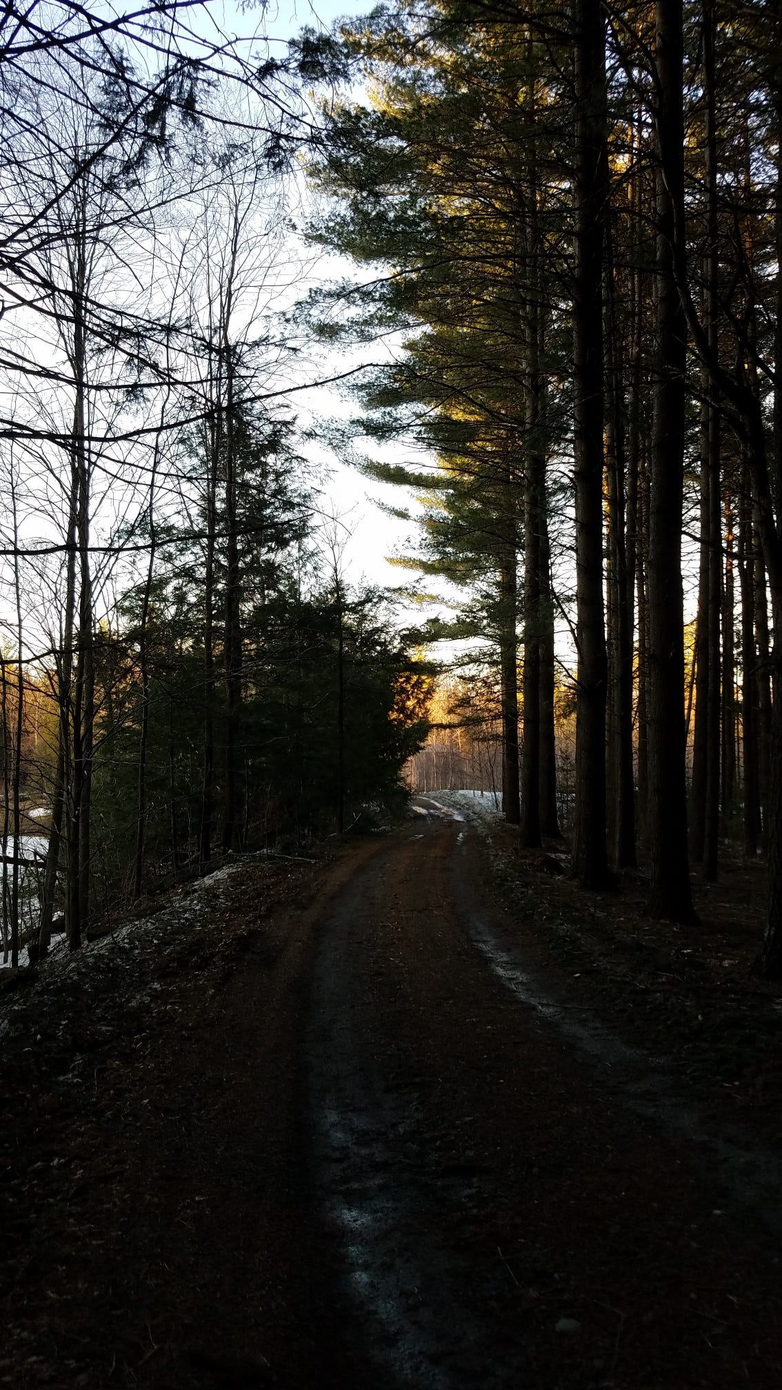 Photo by Annie. THE END OF GENDER | by David Holdridge | Medium