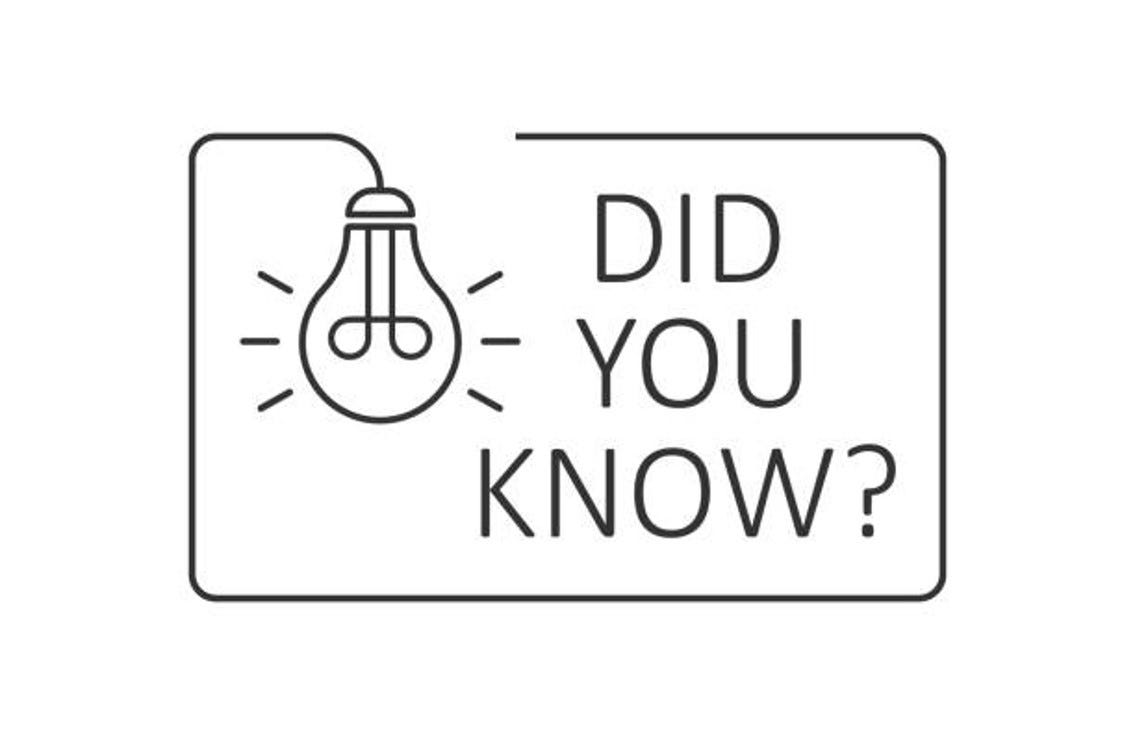 365 Days of Python: Day #47 — Fun Facts | by Rick Deckard | Medium