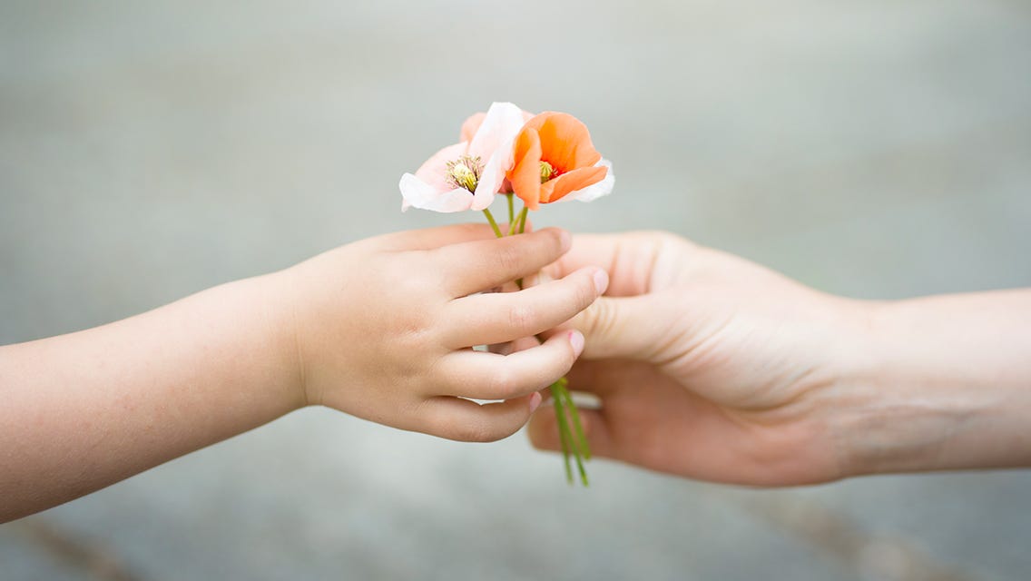 The Power of Kindness: Embracing Humanity in Our Daily Lives | by Hritz ...