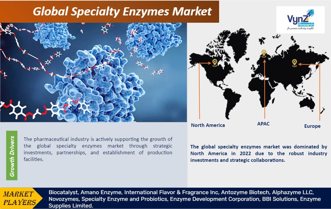 Unraveling Growth Trajectories: Analyzing the Global Specialty Enzymes ...