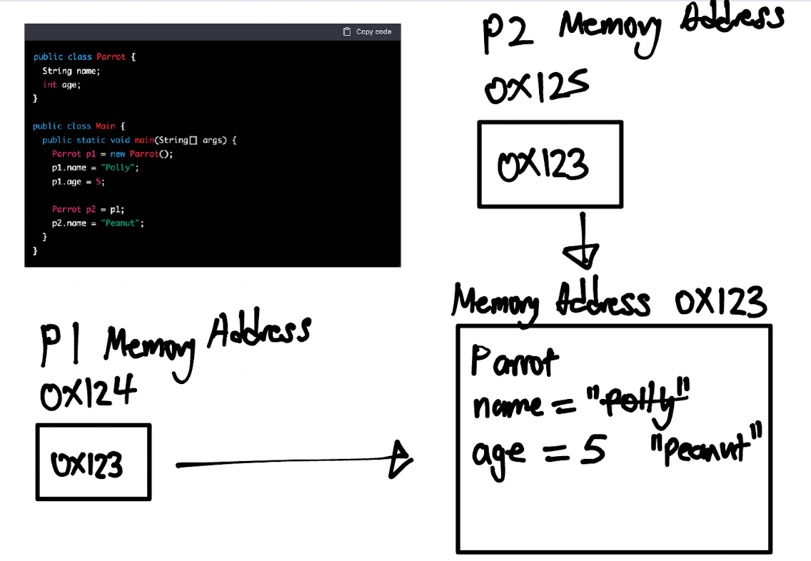 The Java Parrot — Data Types!. Ahoy Parrot! | by ShipItParrot | Medium
