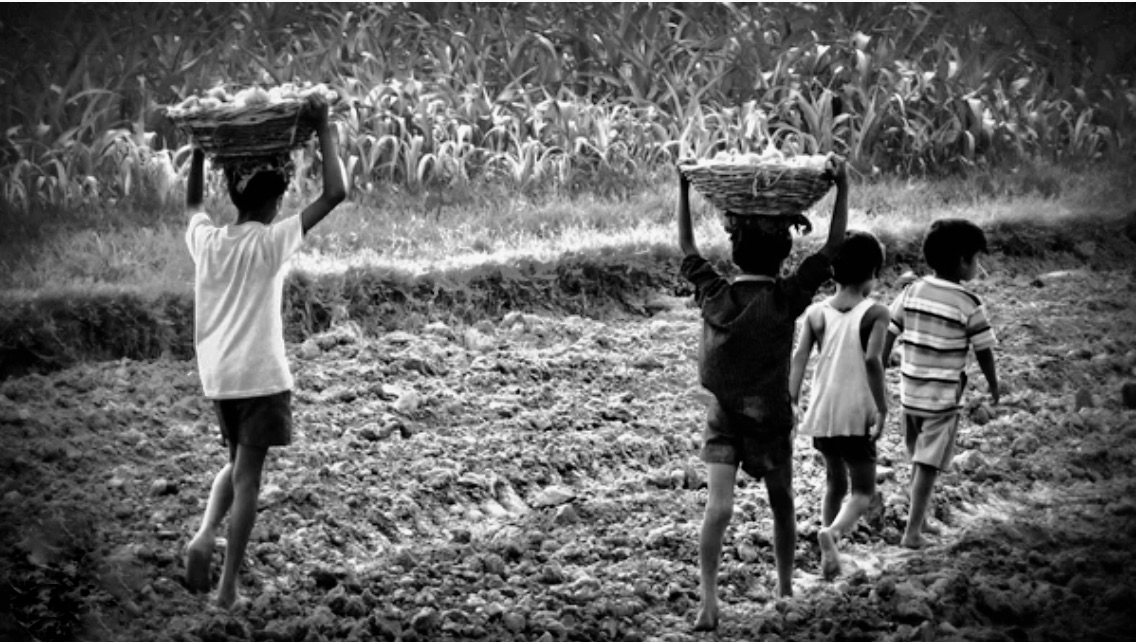 Case Study: Child Labour In India | by Shashwat Ranjan | Medium