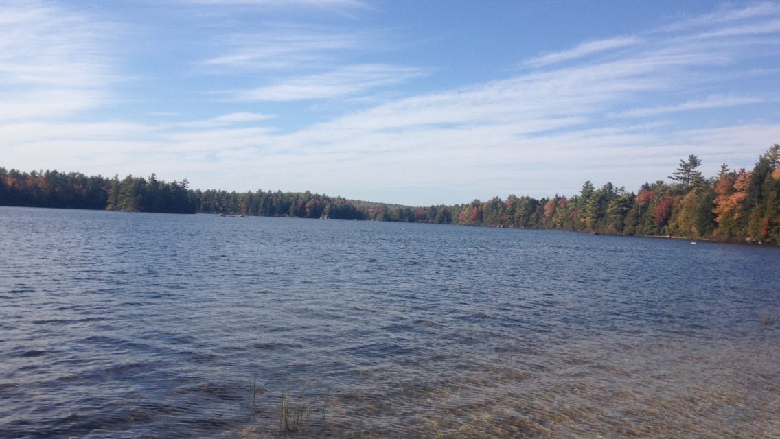 Mopang Lake Hike. “because when you stop and look around… | by Shelby ...