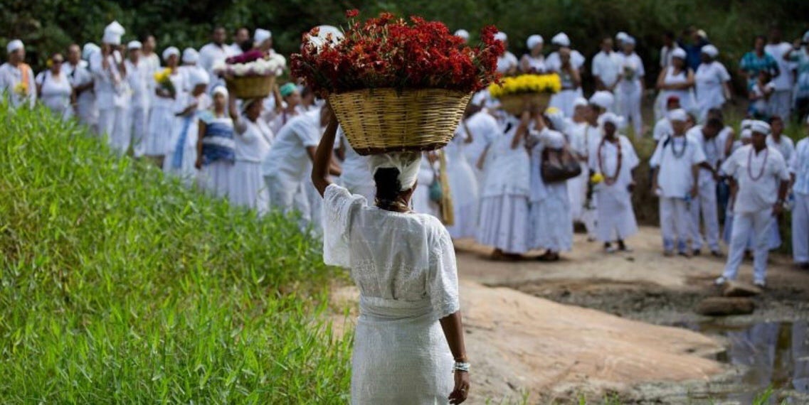 A poem and expirience about the brazil forest. | by Gabriel mendes ...