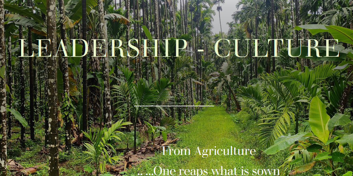 Cultivating Leadership: Thinking Like a Farmer | by Raghu Bhat | Medium