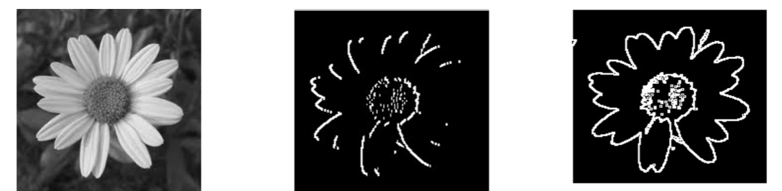 Edge Detection: from Sobel to Canny | by Salvi Elisa | Medium