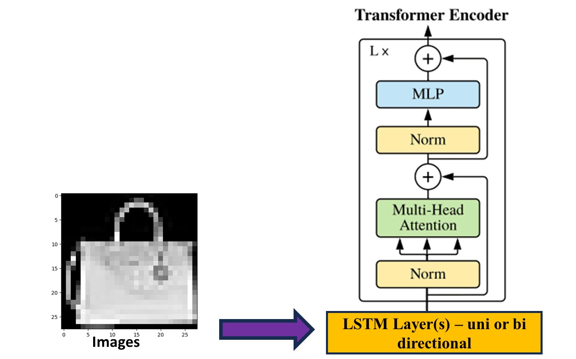 Attention and memory is what you may possibly need — proof of concept demonstration of a ...